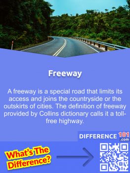 Freeway vs Highway: 8 Key Differences, Examples, Pros & Cons ...