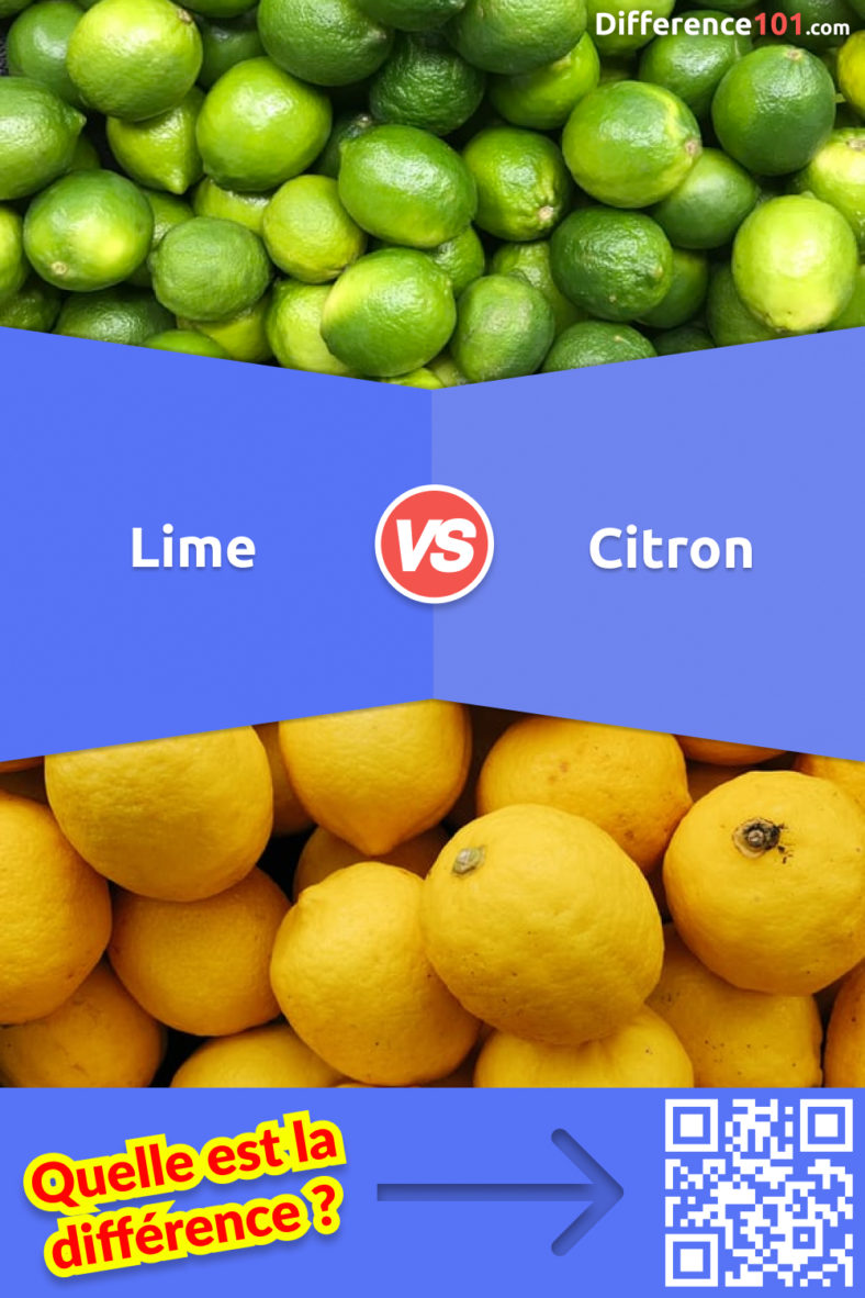 Lime vs. Citron: Différences, Avantages & Inconvénients, Santé | Difference 101
