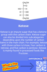 Aldose vs. Ketose: 7 Key Differences, Pros & Cons, Examples ...