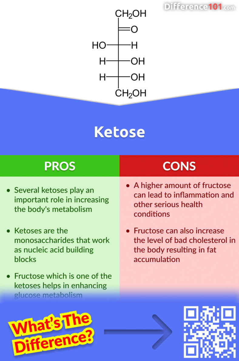 Aldose vs. Ketose: 7 Key Differences, Pros & Cons, Examples ...