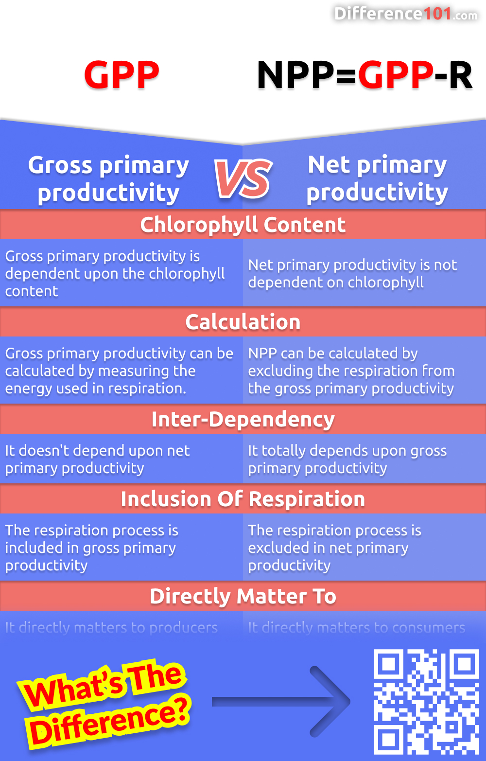Gross primary productivity vs. Net primary productivity: 5 Key ...