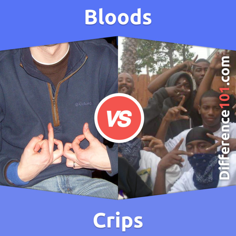 Bloods vs. Crips: 7 Key Differences, History of creation, Population ...
