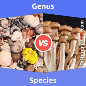 Genus vs. Species: 7 Key Differences, Pros & Cons, Examples ...