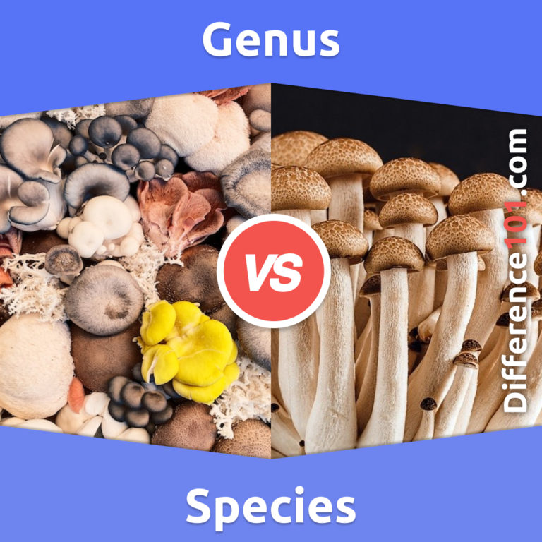 Genus vs. Species: 7 Key Differences, Pros & Cons, Examples ...