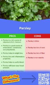 Parsley vs. Cilantro: Key Differences, Pros & Cons, Similarities | Difference 101