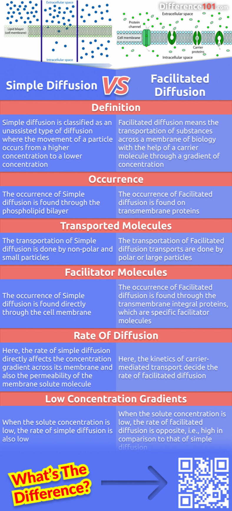 Simple Diffusion vs. Facilitated Diffusion: 6 Key Differences, Examples ... Simple Diffusion vs. Facilitated Diffusion: 6 Key Differences, Examples ...