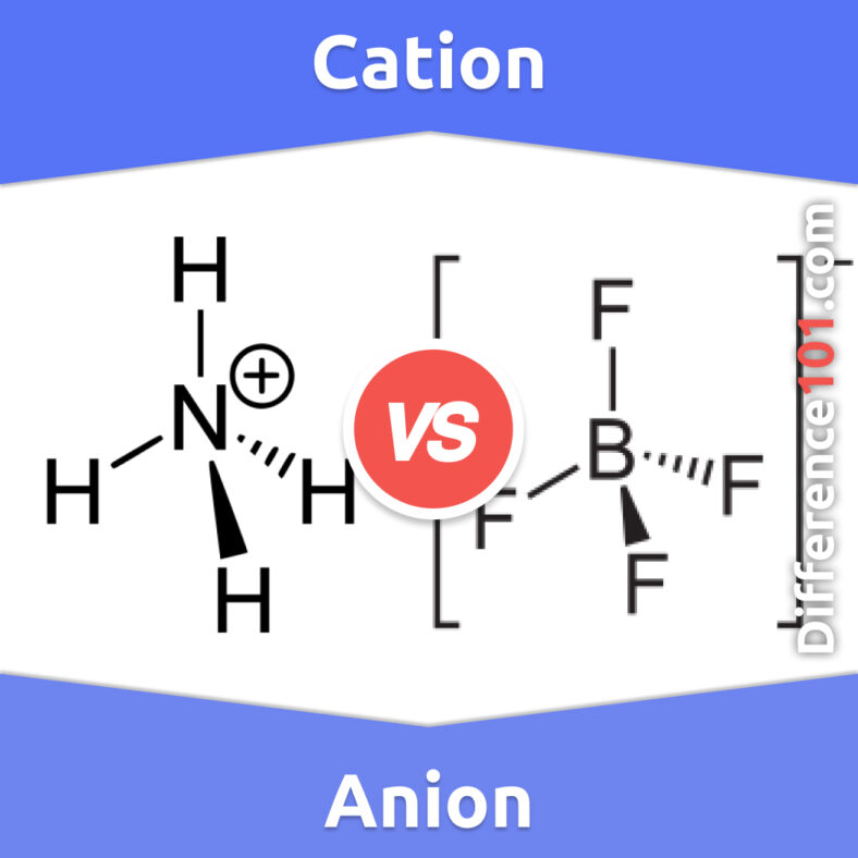 Cation vs. Anion: 7 Key Differences, Pros & Cons, Examples | Difference 101