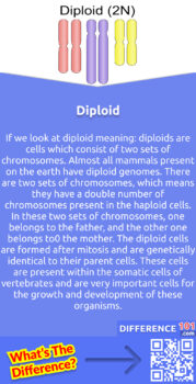 Diploid vs. Haploid: 6 Key Differences, Pros & Cons, Examples ...