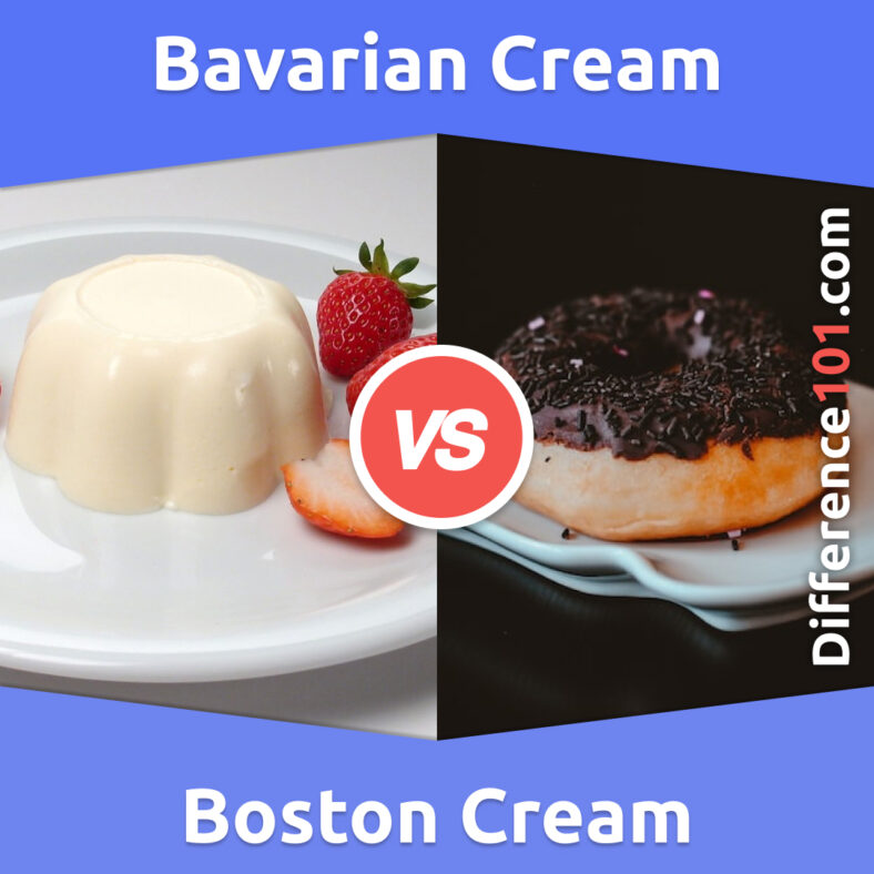 Bavarian Cream vs. Boston Cream: 5 Key Differences, Pros & Cons ...