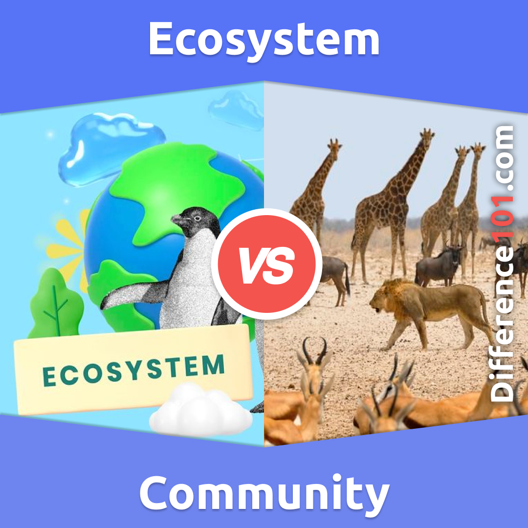 Ecosystem vs. Community: 5 Key Differences, Pros & Cons, Similarities ... Ecosystem vs. Community: 5 Key Differences, Pros & Cons, Similarities ...
