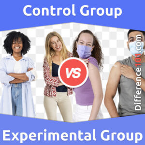 Control Group vs. Experimental Group: 5 Key Differences, Pros & Cons ...