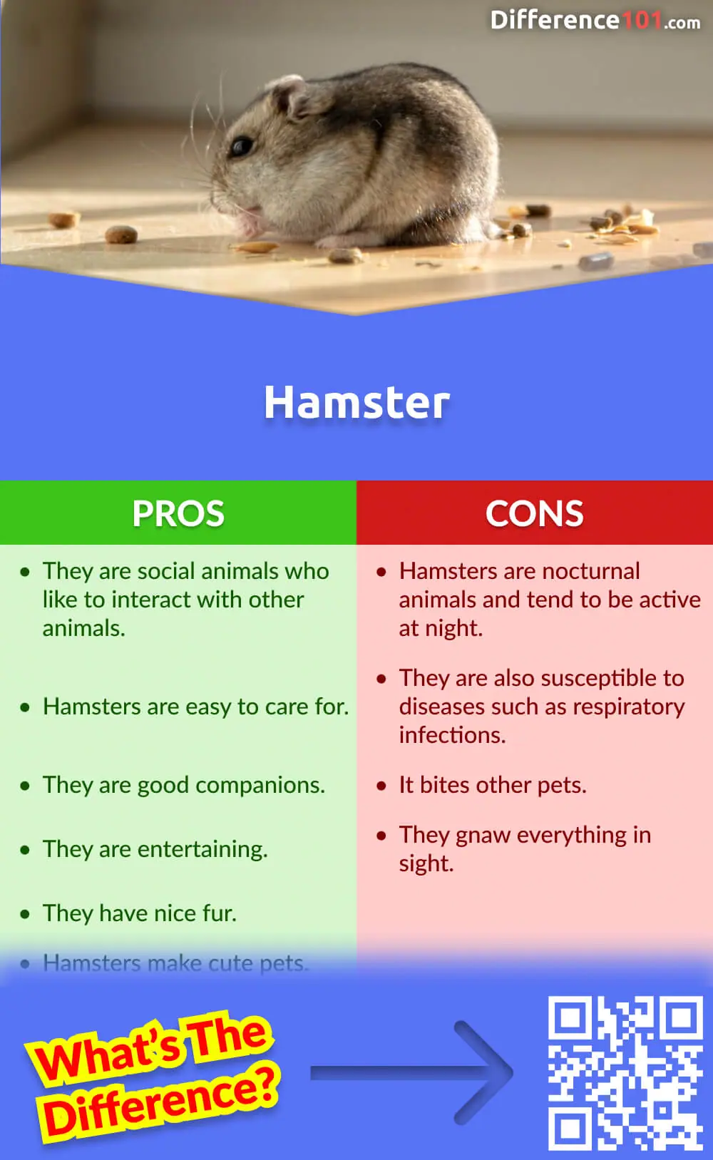 Hamster vs. Hampster: 3 Key Differences, Pros & Cons, Similarities ...