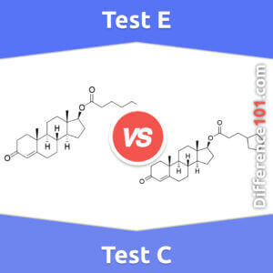 Test E vs. Test C: 6 Key Differences, Pros & Cons, Similarities ...
