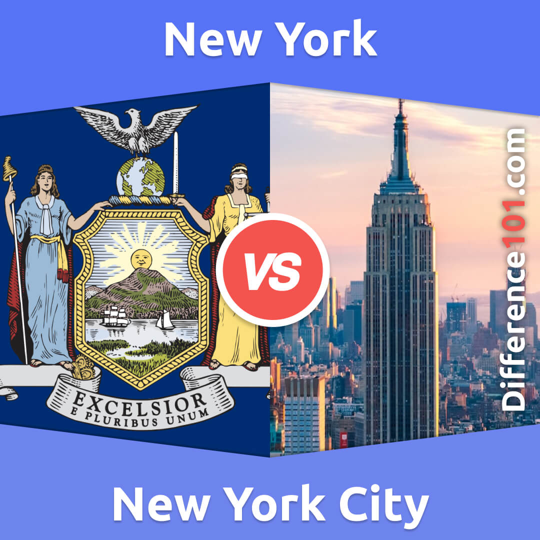 Wix vs. Squarespace: Difference, Similarities, Pros & Cons | Difference 101 Wix vs. Squarespace: Difference, Similarities, Pros & Cons | Difference 101